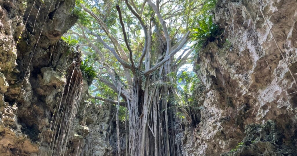 株式会社 EGL OKINAWA – 国内・海外旅行〜訪日旅行まで、旅のエキスパートが、皆さまのご要望に応じて手配を行う旅行会社です。