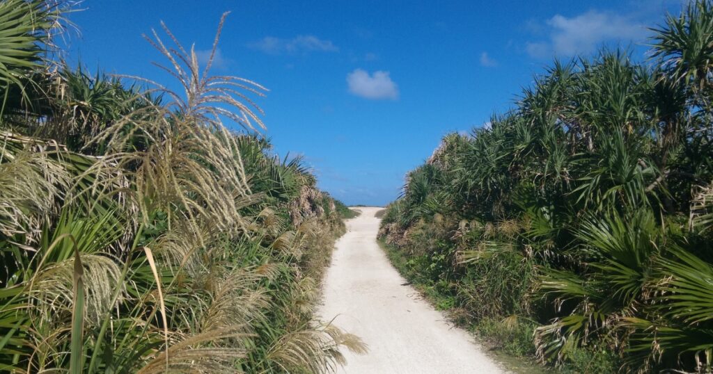 株式会社 EGL OKINAWA – 国内・海外旅行〜訪日旅行まで、旅のエキスパートが、皆さまのご要望に応じて手配を行う旅行会社です。